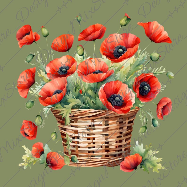 Red Poppy Clipart | 20 PNG Images | Transparent Background | Floral Art ...