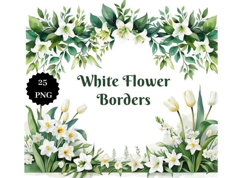 25 White Flower Borders PNG: Floral Clipart (digital Download) - Etsy