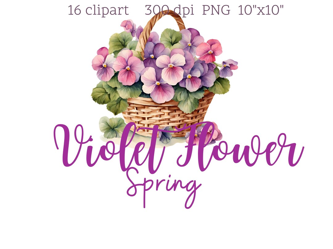Violet Flower PNG Clipart: Watercolor Floral Graphics (digital Download ...