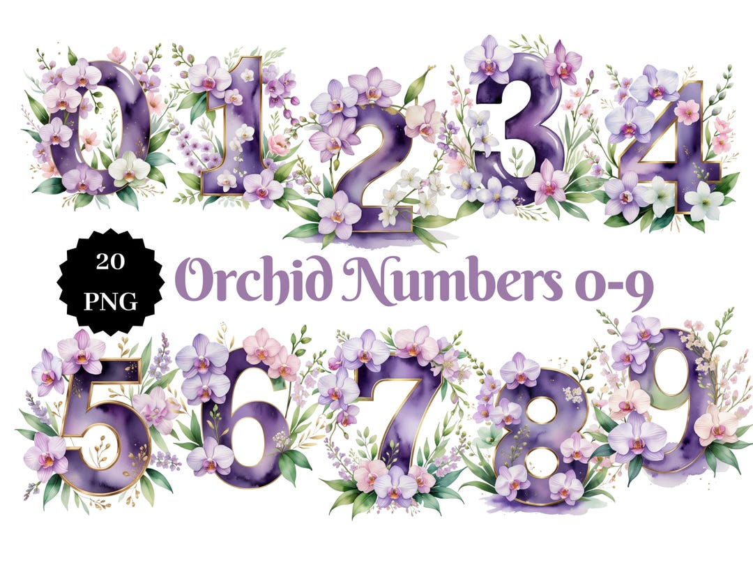 20 PNG Orchid Numbers 0-9 | Pastel Flower Clipart | Decorative Numbers ...