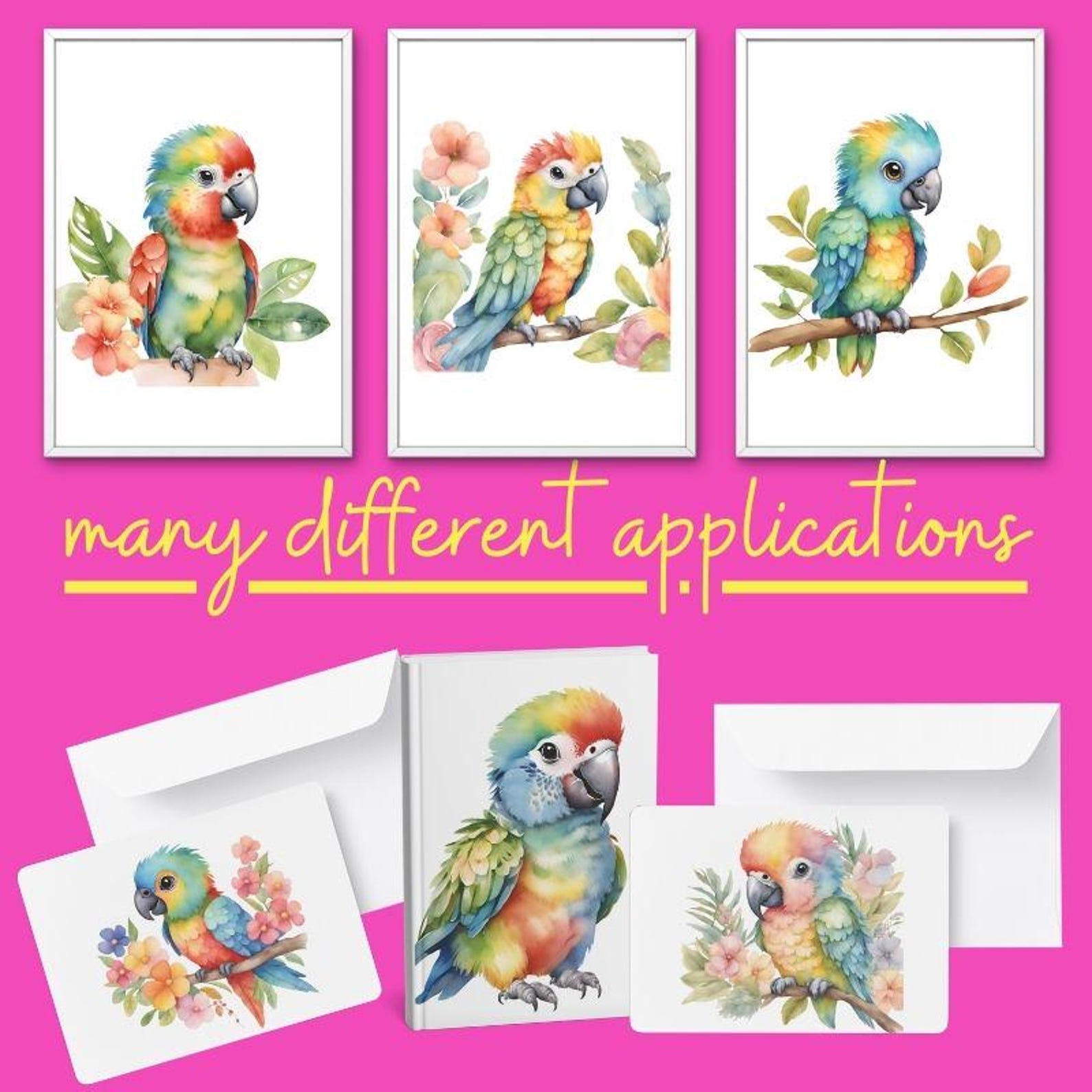 20 Colorful Parrot – PNG | Transparent Background | Perfect for ...