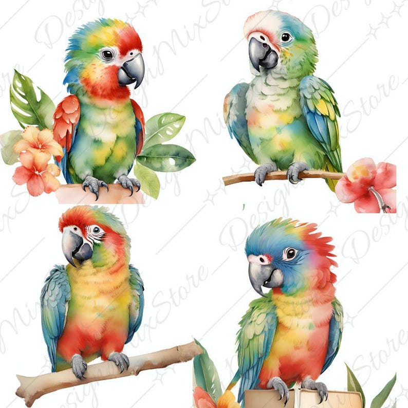 20 Colorful Parrot – PNG | Transparent Background | Perfect for ...