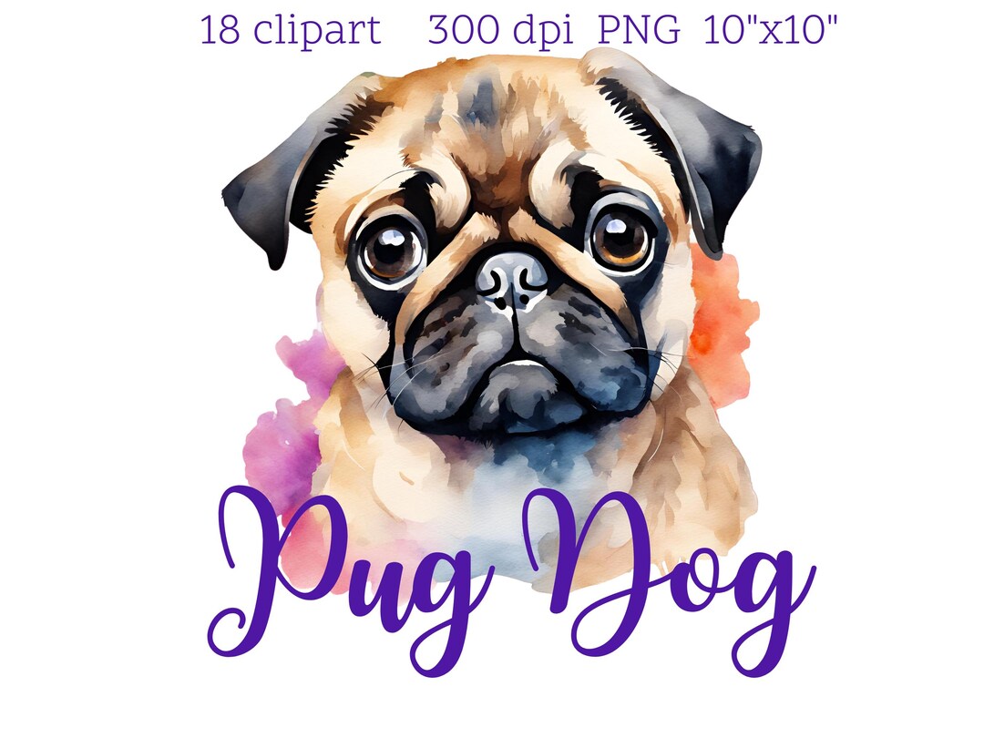 18 Cute Pug Dog Clipart – PNG | Transparent Background | Perfect for ...