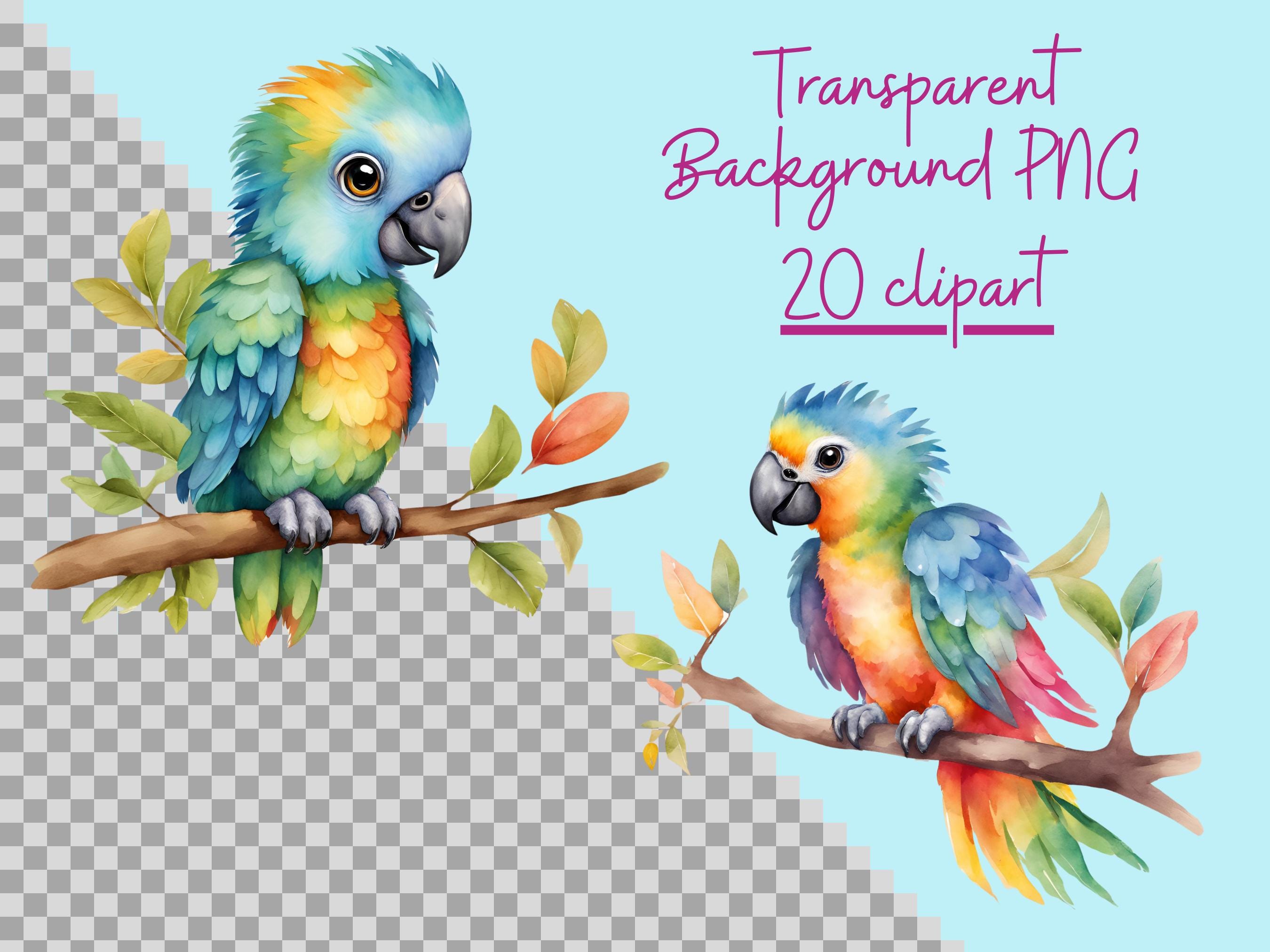 20 Colorful Parrot – PNG | Transparent Background | Perfect for ...