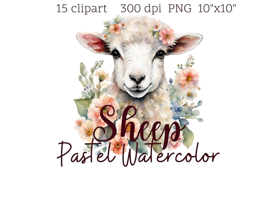 15 Cute Sheep – PNG | Pastel Watercolor | Transparent Background ...