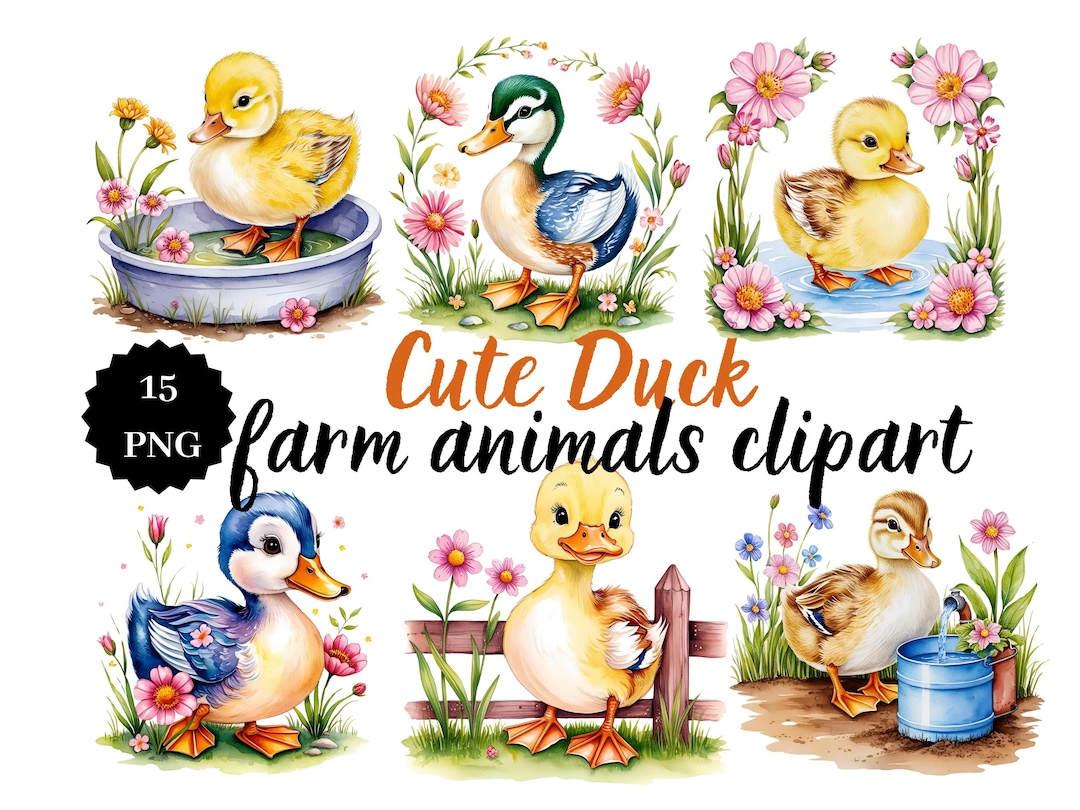 15 PNG Cute Ducks | Farm Animals Clipart | Rustic Farmhouse Graphics ...
