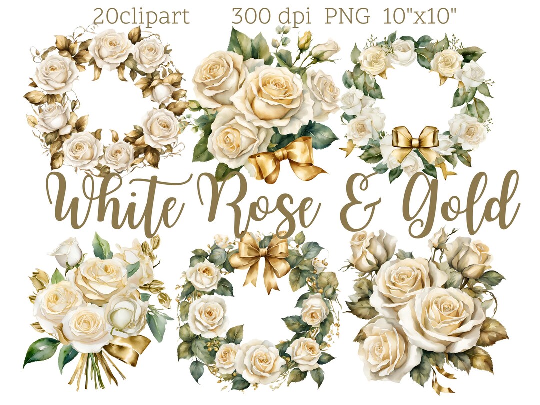 White Rose & Gold Clipart: Elegant Floral PNG Images (digital Download ...
