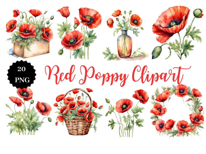 Red Poppy Clipart | 20 PNG Images | Transparent Background | Floral Art ...