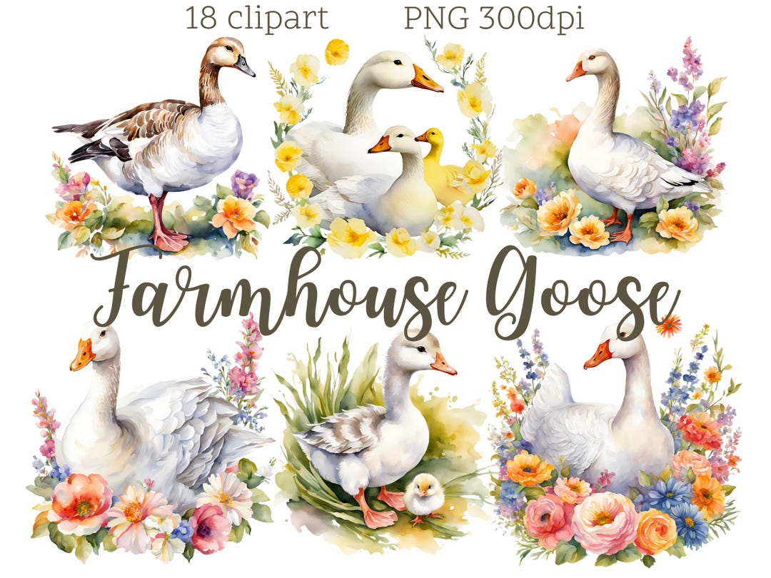 Farmhouse Goose Clipart: Vintage Country PNG Illustrations (18 PNG ...