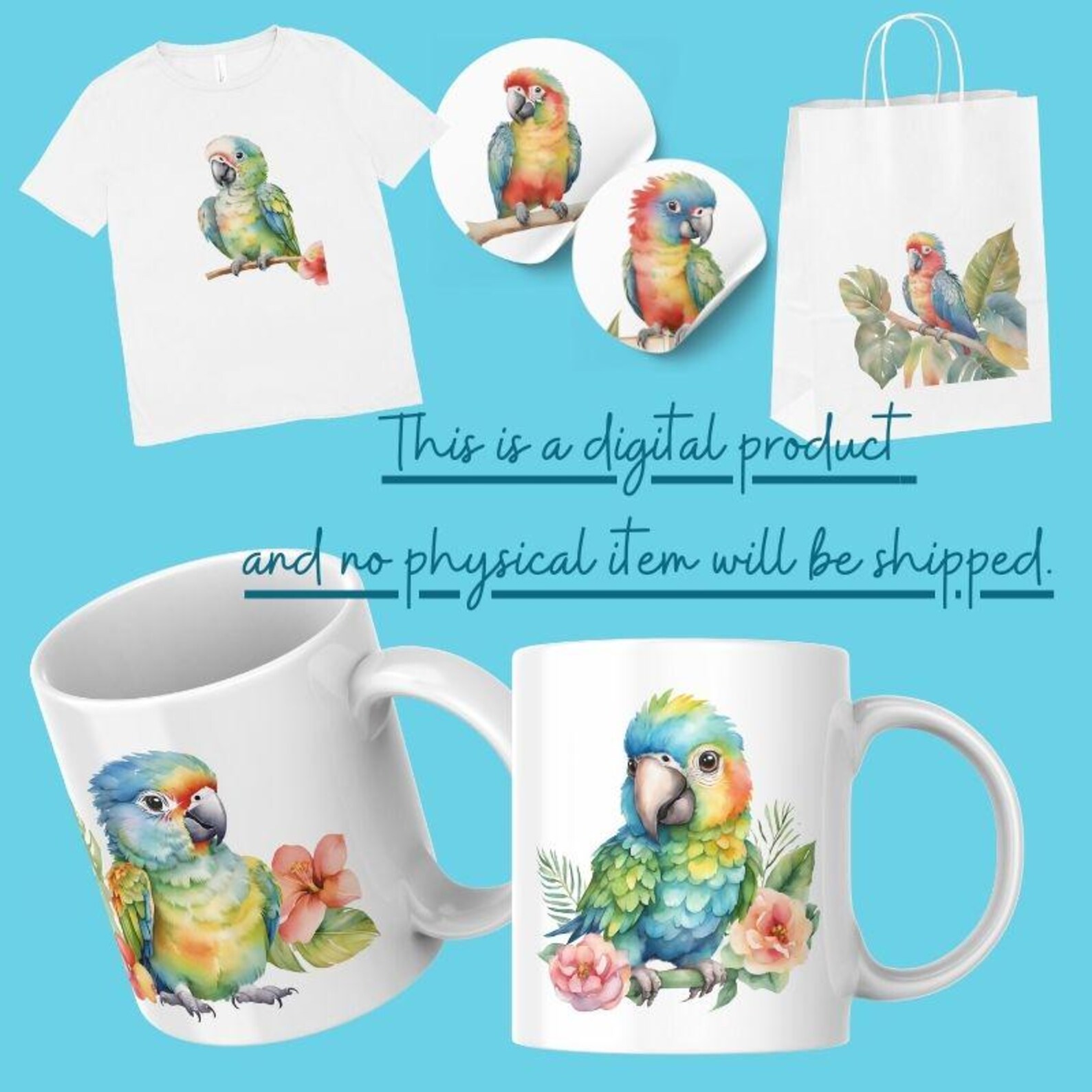 20 Colorful Parrot – PNG | Transparent Background | Perfect for ...