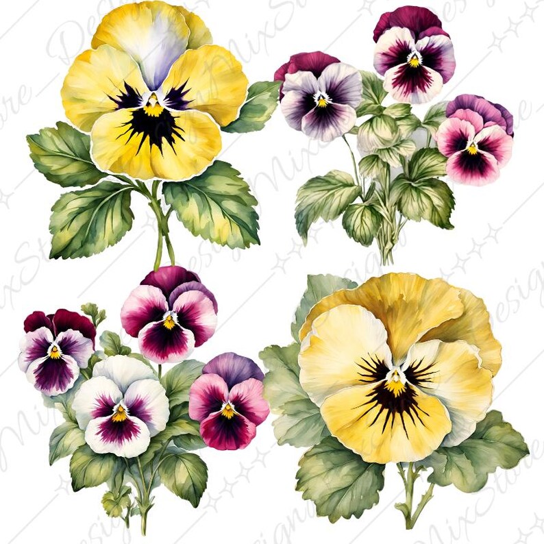 Pansies Digital Download | 16 PNG Clipart | Transparent Background ...