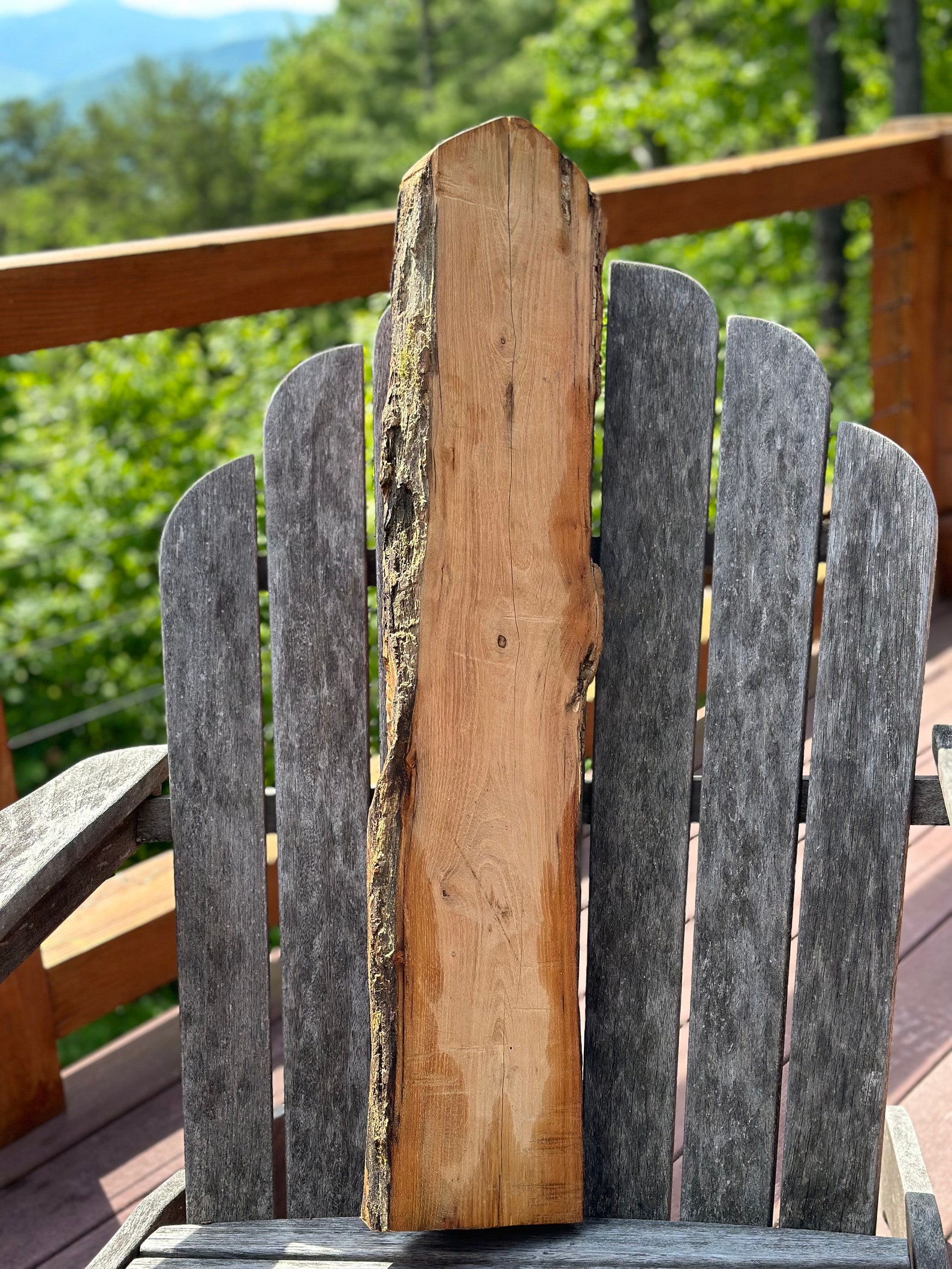 Albert Wood Carving Bearded Man Large Wood Spirit Carved Into Locust ...