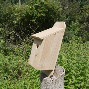 Cedar Bluejay Nesting Box - Etsy