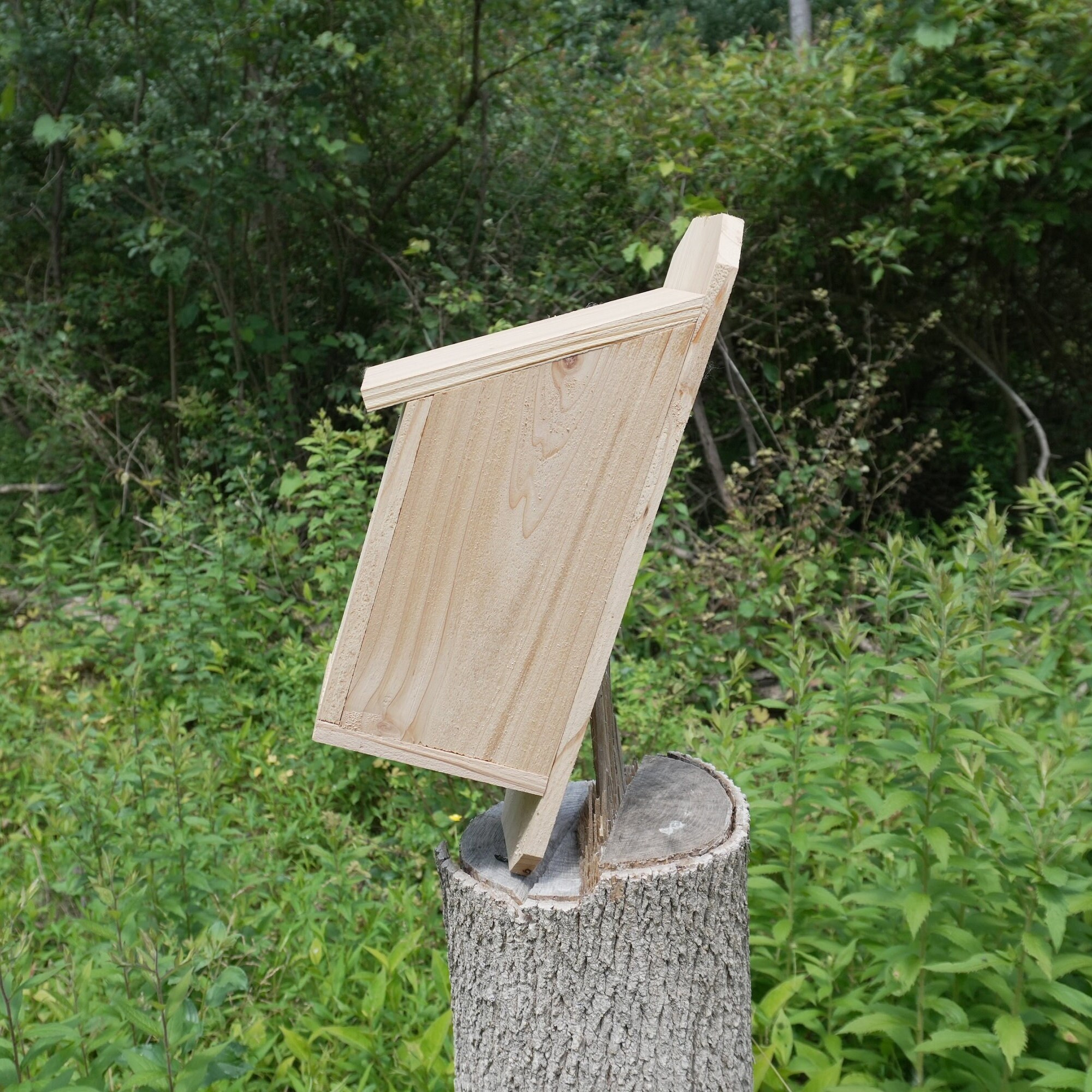 Cedar Bluejay Nesting Box - Etsy