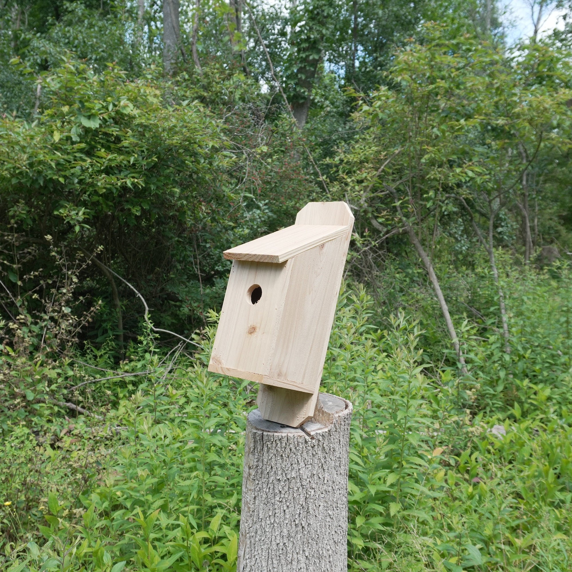 Cedar Bluejay Nesting Box - Etsy