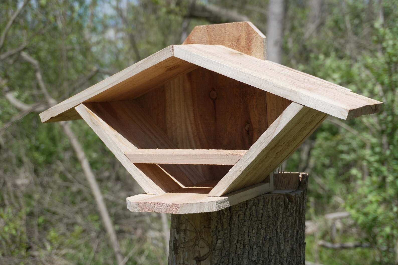 Cedar Dove Nesting Boxes - Etsy