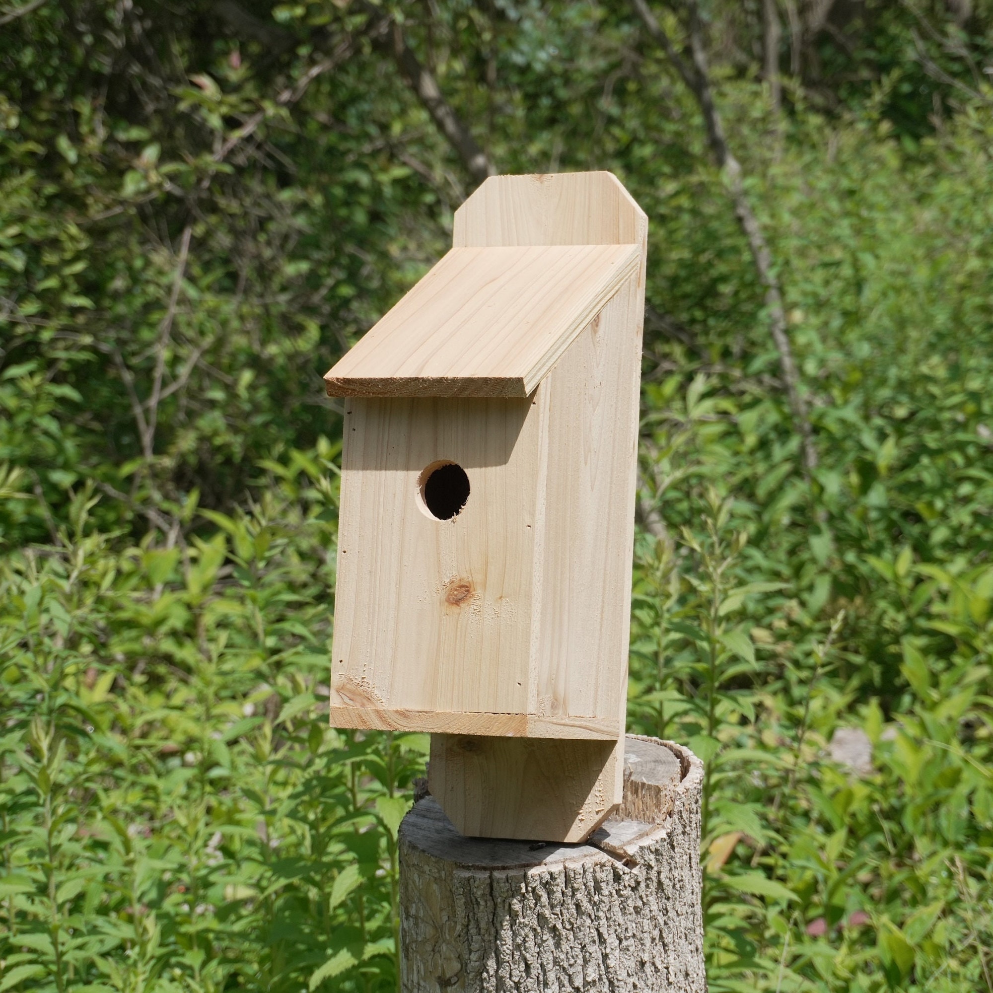 Cedar Bluejay Nesting Box - Etsy