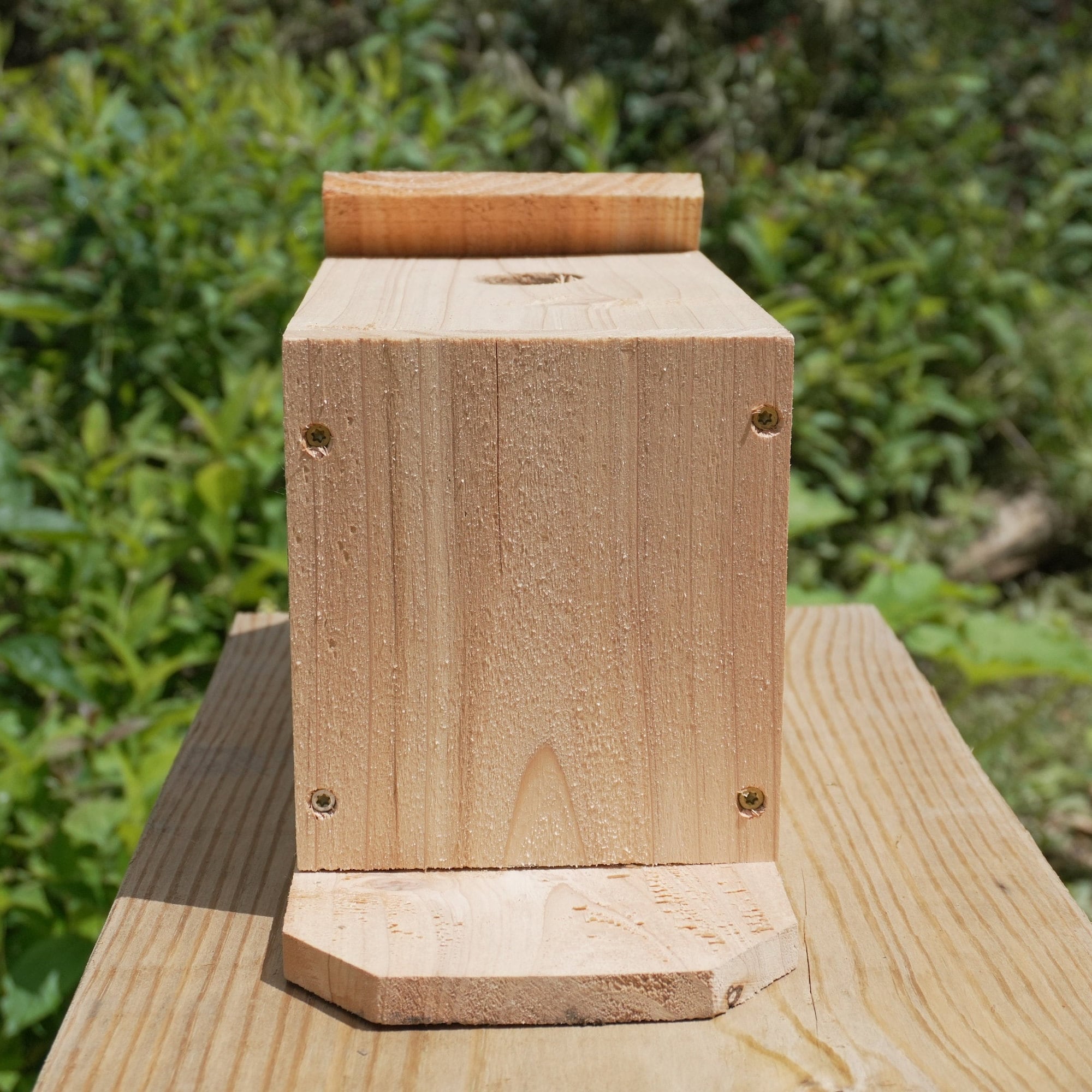 Cedar Bluejay Nesting Box - Etsy