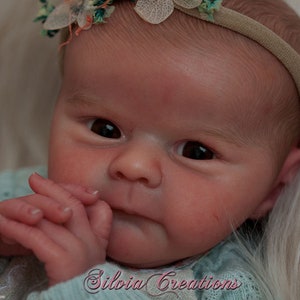 Custom Reborn Baby Kayla AUTHENTIC Baby - Etsy