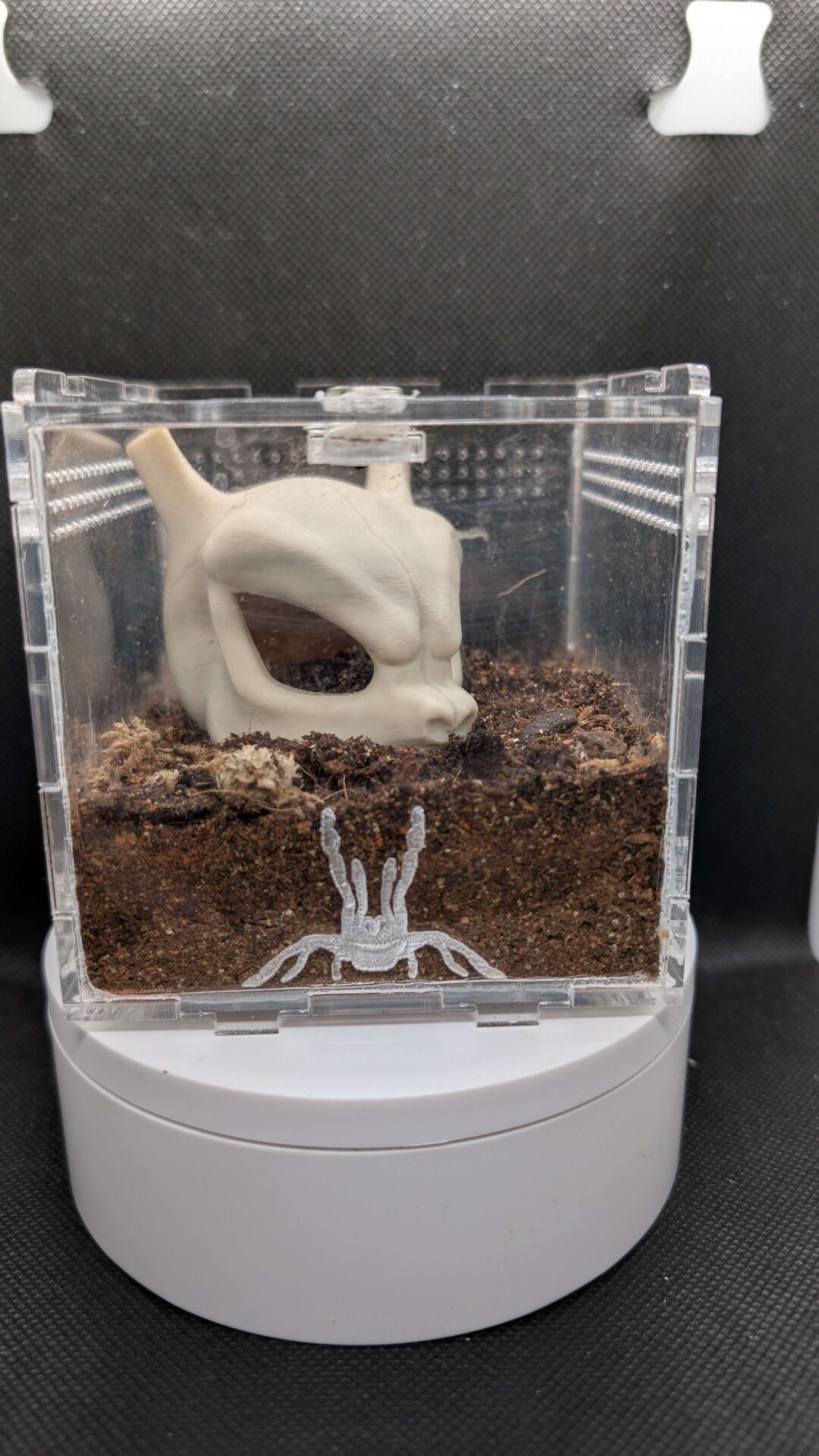 Mewtwo Skull Tarantula Sling Hide – 3D Printed Reptile Habitat for ...