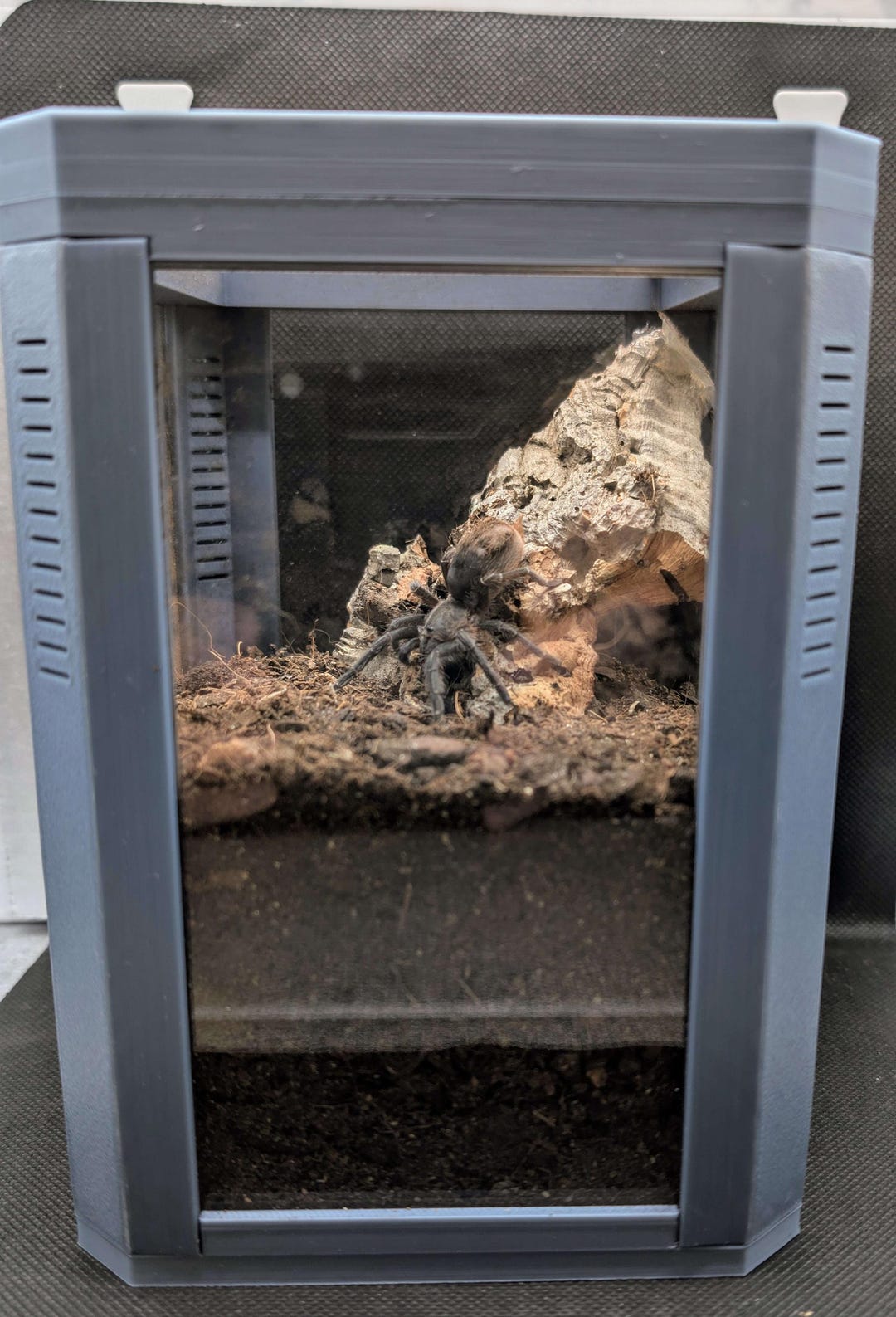 Arboreal/fossorial Tarantula Enclosure – 3D Printed Acrylic Habitat for ...