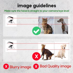 Regal Cat Art Print Historic Digital Drawing Personalized Dog ...