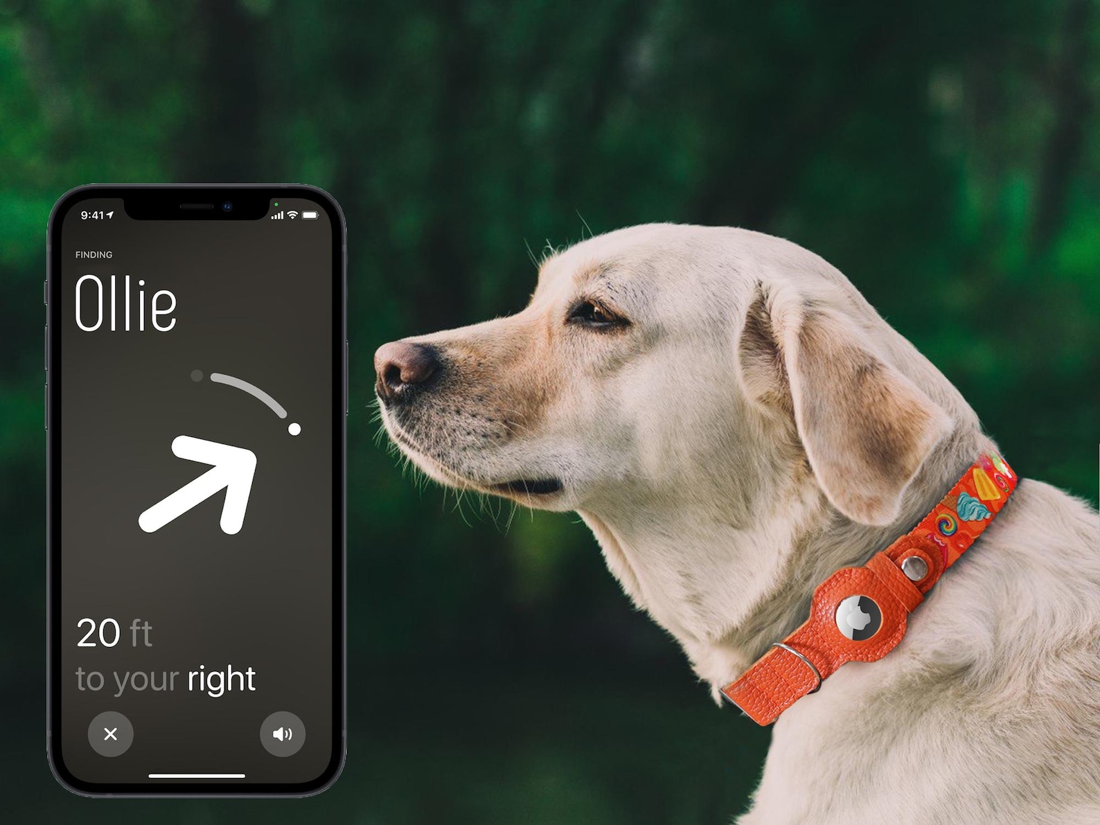 Printed Nylon & Leather Dog Collar With AirTag Pocket, Personalized Air ...