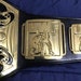 UWF Heavyweight Universal Wrestling Championship Title Belt Adult Size ...
