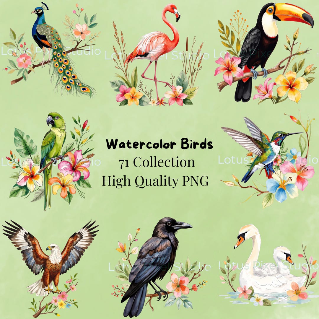71 Tropical Birds Clipart PNG Bundle |watercolor Floral Bird Collection ...