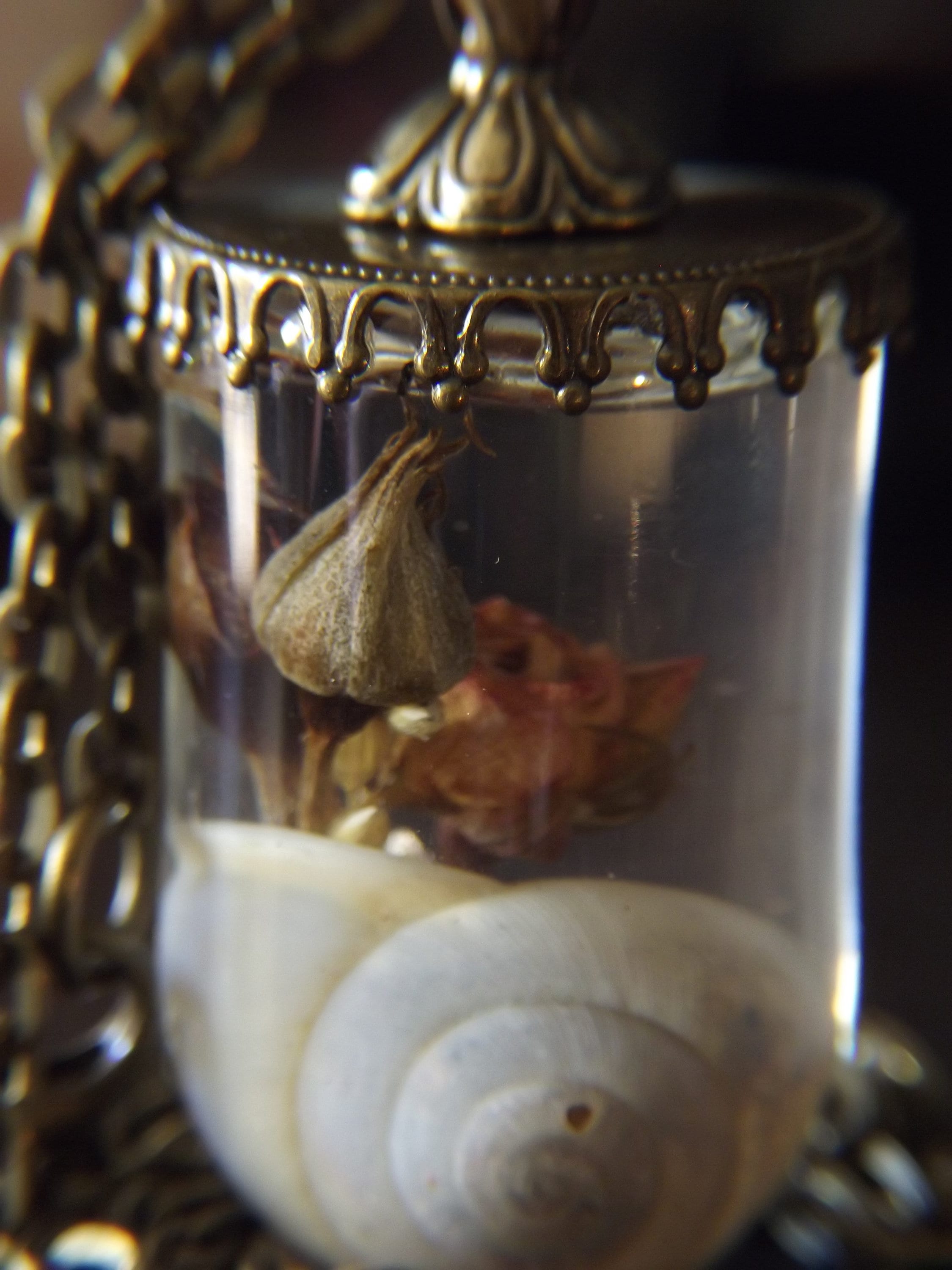 Blooming Snail Shell Necklace - Etsy