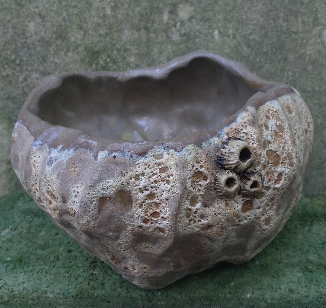 Barnacle Sea Bowl by Joel Patton - Etsy