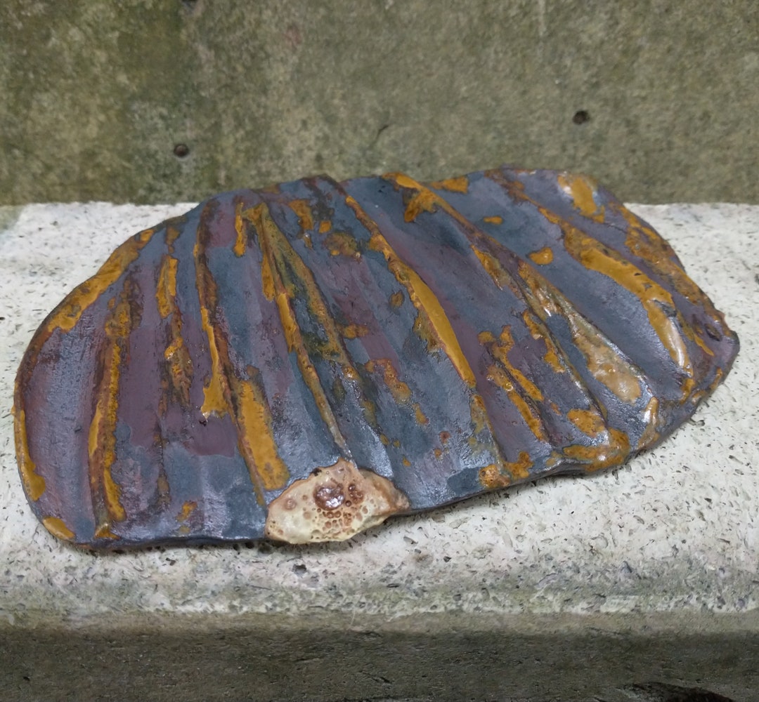 Sea Plate With Barnacles by Joel Patton - Etsy