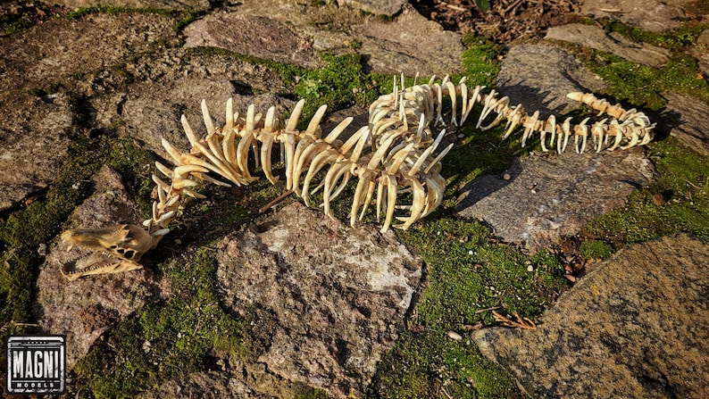 Articulated Gargantuan Leviathan Skeleton STL - Subnautica [FOR 3D ...