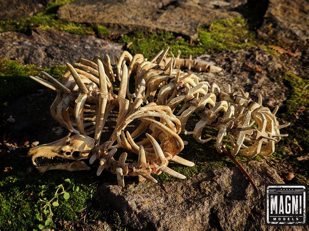 Articulated Gargantuan Leviathan Skeleton STL - Subnautica [FOR 3D ...