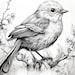 Leather Tooling Patterns - Crafting Creations - Wild Birds - Etsy