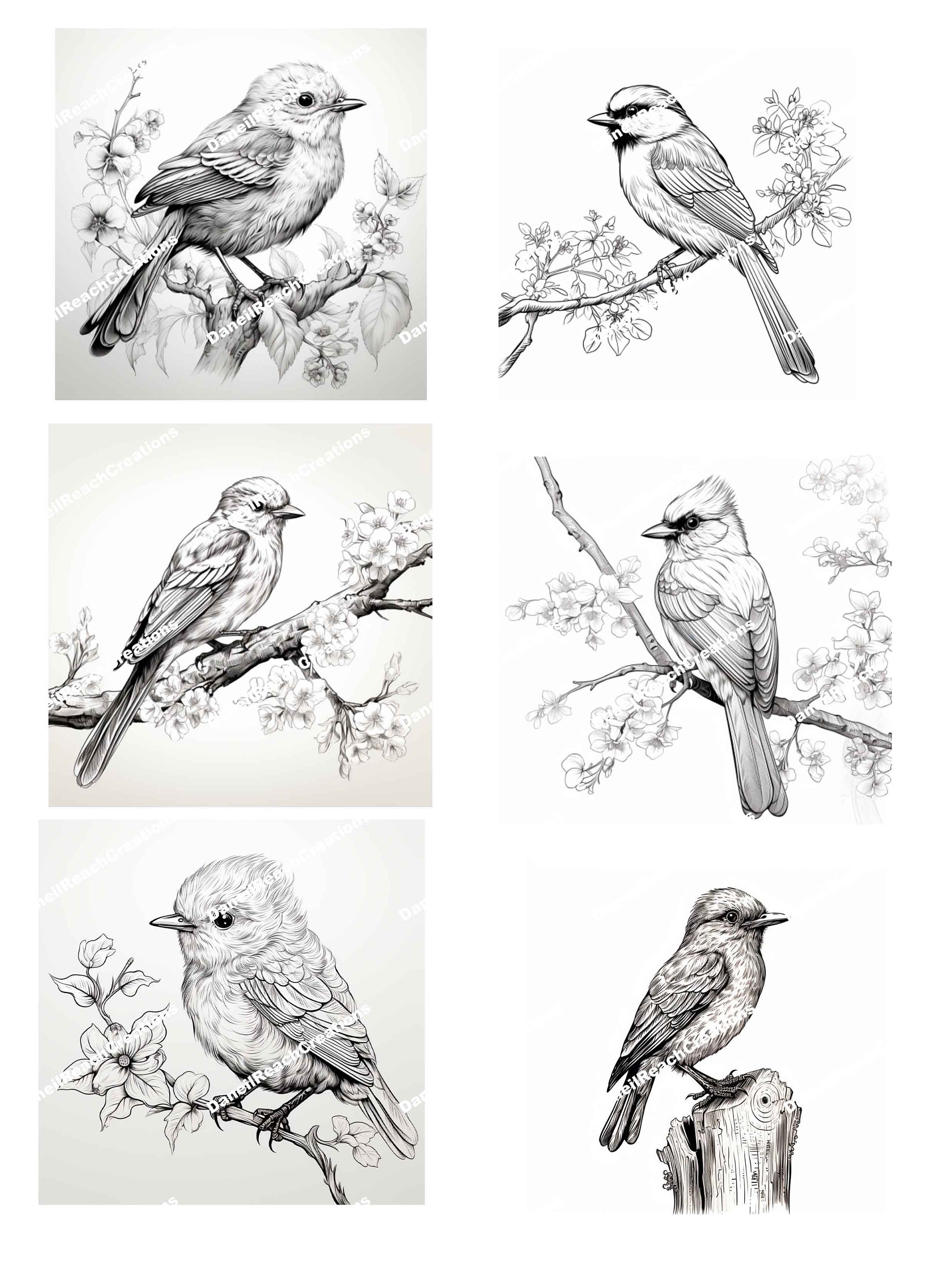 Leather Tooling Patterns - Crafting Creations - Wild Birds - Etsy