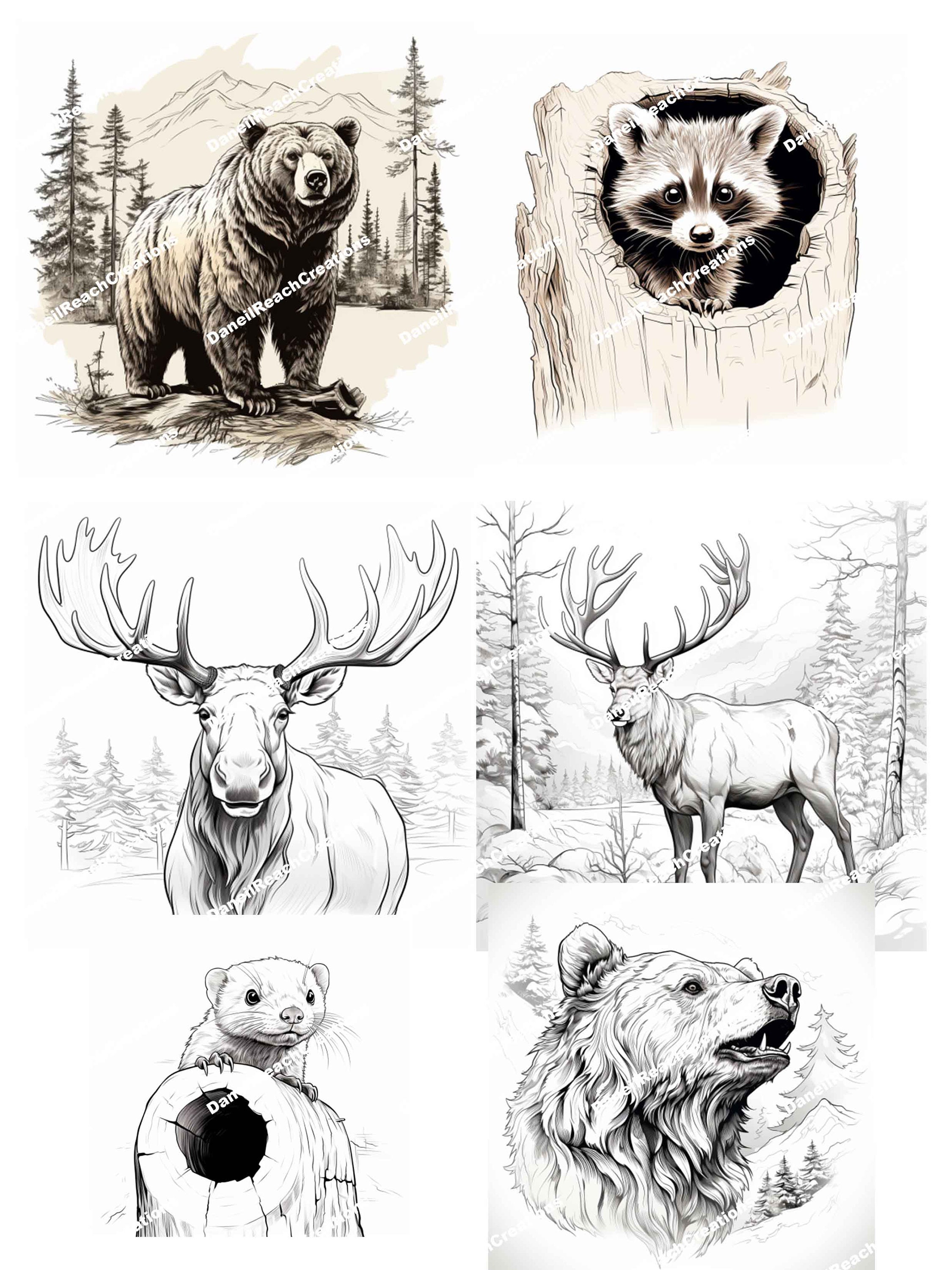 Leather Tooling Patterns - Crafting Creation - Iconic Creations of ...