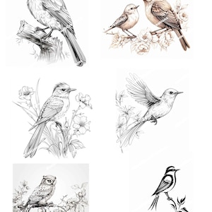 Leather Tooling Patterns - Crafting Creations - Wild Birds - Etsy