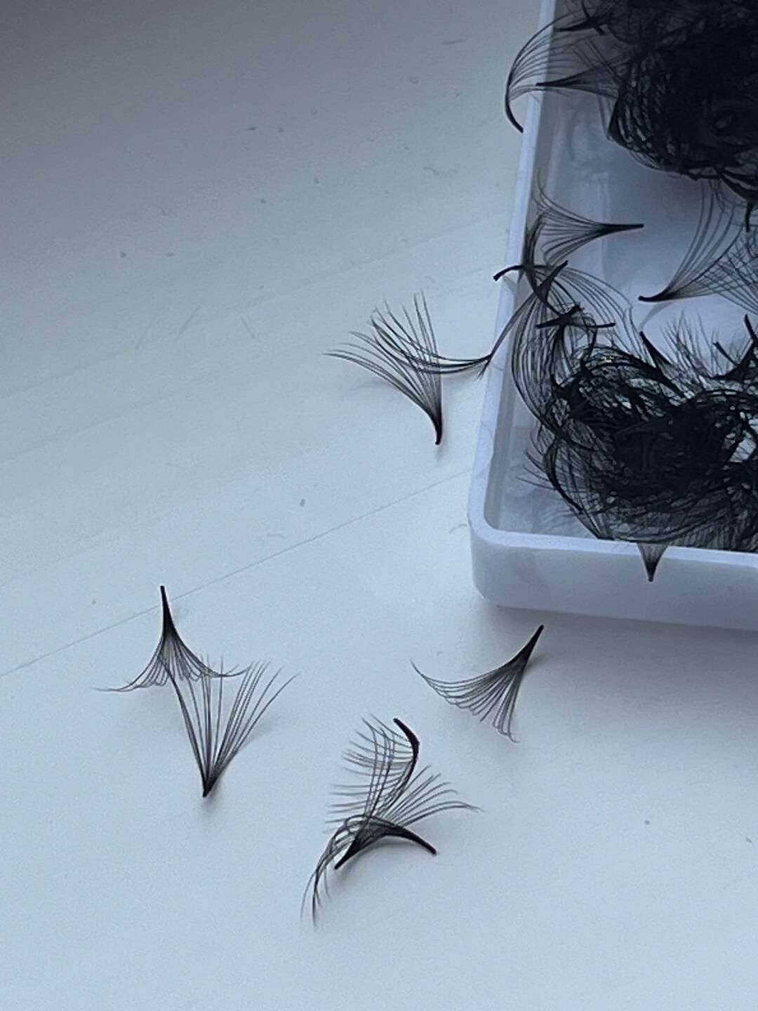 Pre-made Lash Extension Volume Fans - Etsy