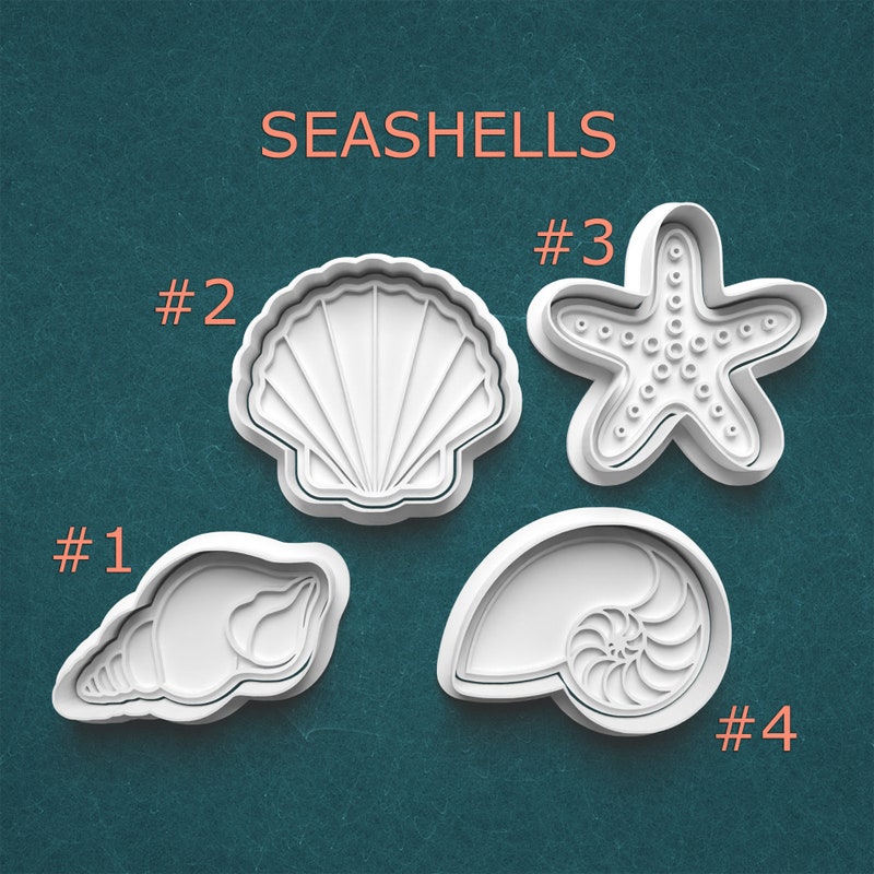 Sea Shell Fondant Mould - Etsy