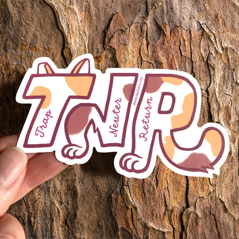 Trap Neuter Return TNR Kitty Sticker - Etsy