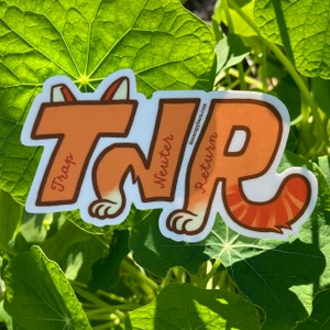 Trap Neuter Return TNR Kitty Sticker - Etsy
