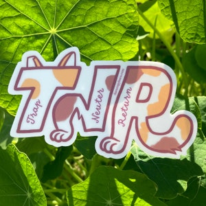 Trap Neuter Return TNR Kitty Sticker - Etsy