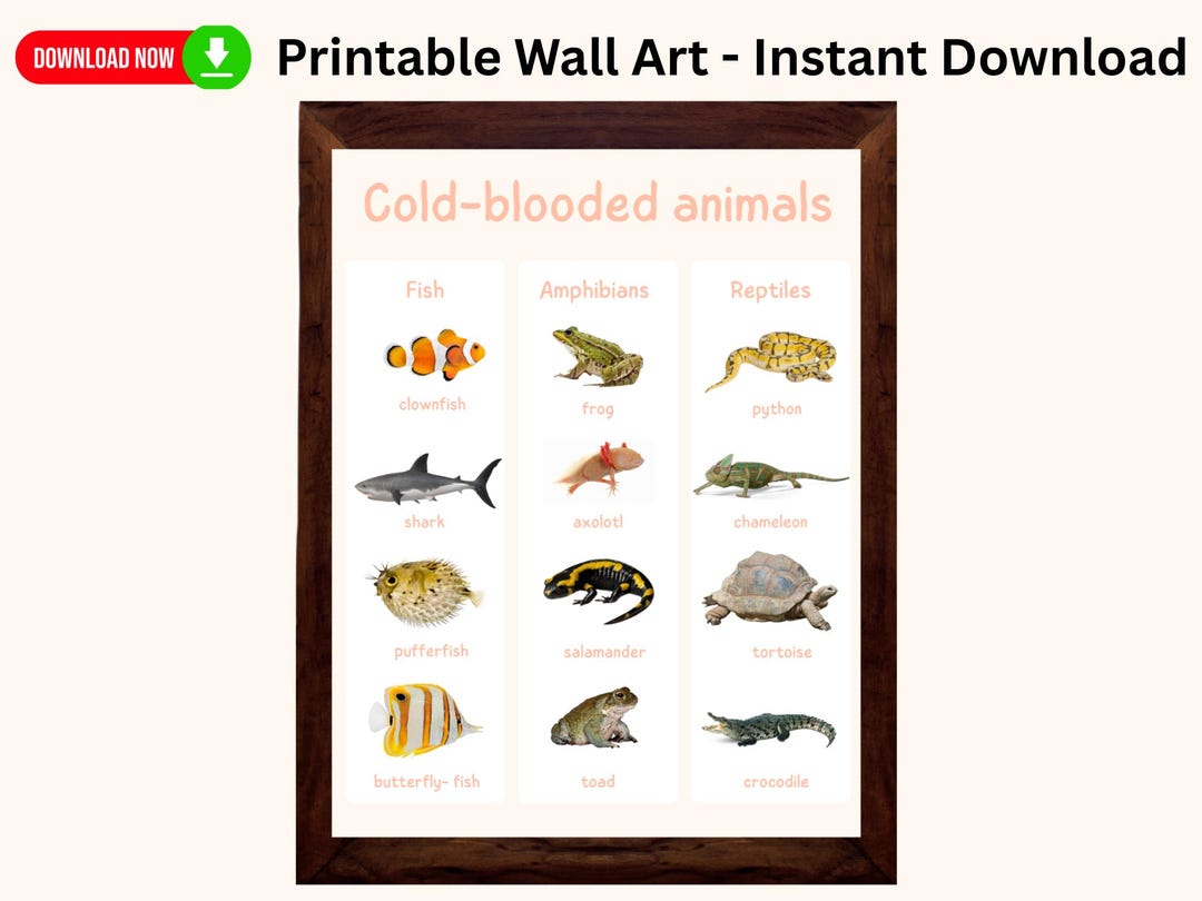 Educational Poster | Cold-blooded Animals Chart for Kids | Fish ...