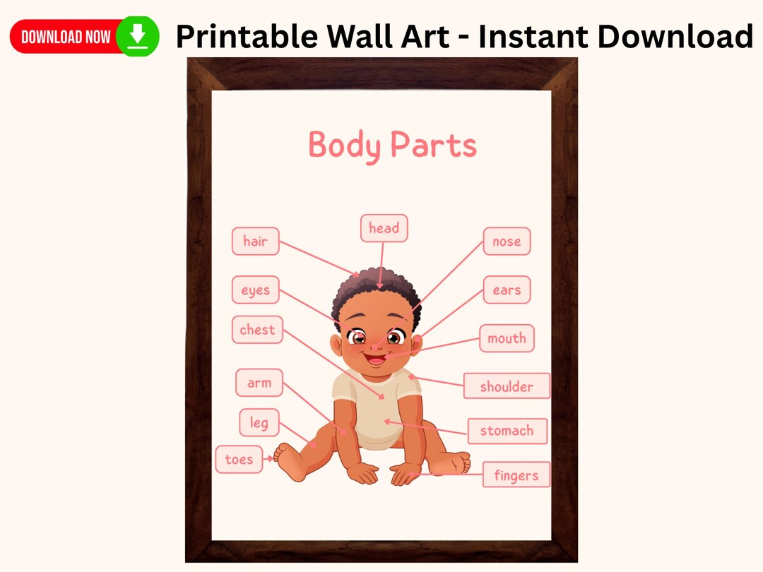 Baby Body Parts Chart for Kids | Body Parts Learning Poster | Preschool ...