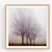 Tree Photograph, Rustic Nature Photography Print, Rustic Decor ...