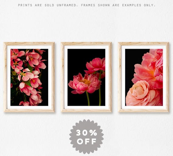 Flower Prints Boho Floral Gallery Wall Art Set of 3 Prints | Etsy