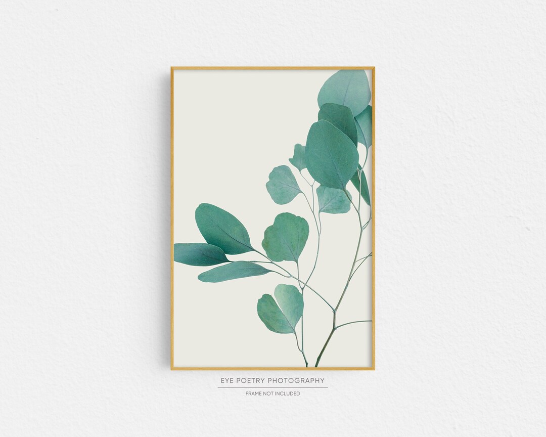 Silver Dollar Eucalyptus Print, Minimalist Botanical Print, Nature ...