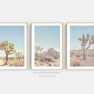 Joshua Tree Prints, Boho Wall Art, Set of 3 Prints, Desert Prints, Boho ...