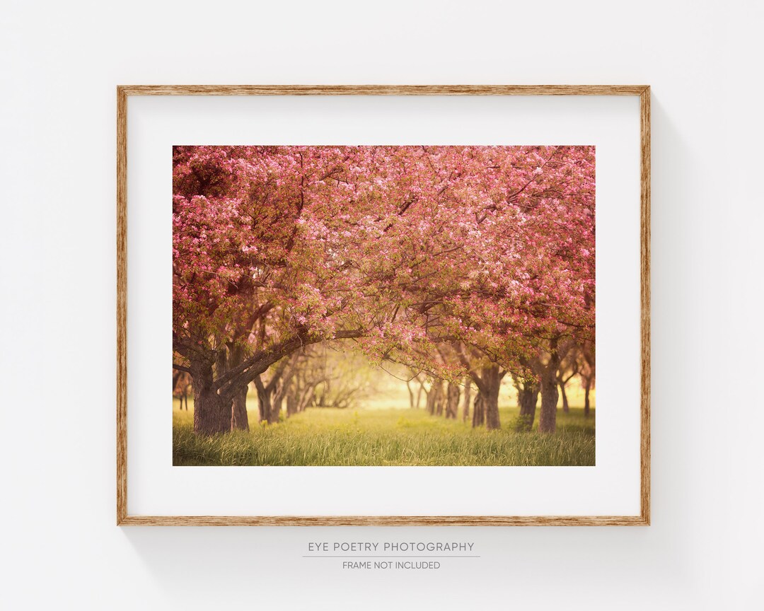 Forest Print Nursery, Pink Tree Print, Baby Girl Nursery Art, Dreamy ...